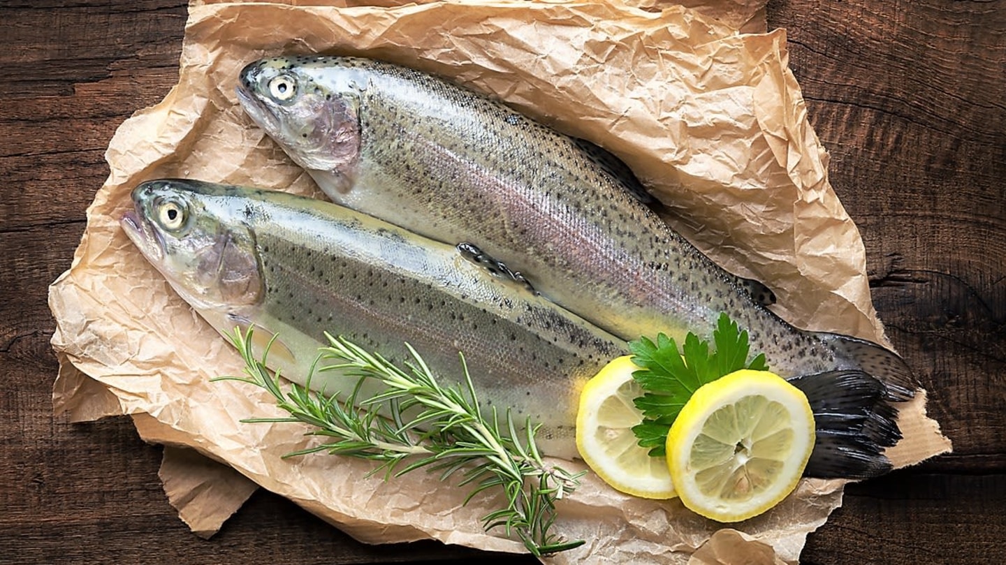 8 nejlepších ryb našich vod: Jak poznat čerstvou rybu a jak ji správně ...